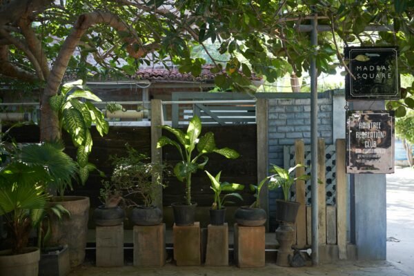 East Coast at Madras Square - Restaurant & Bar in ECR Chennai
